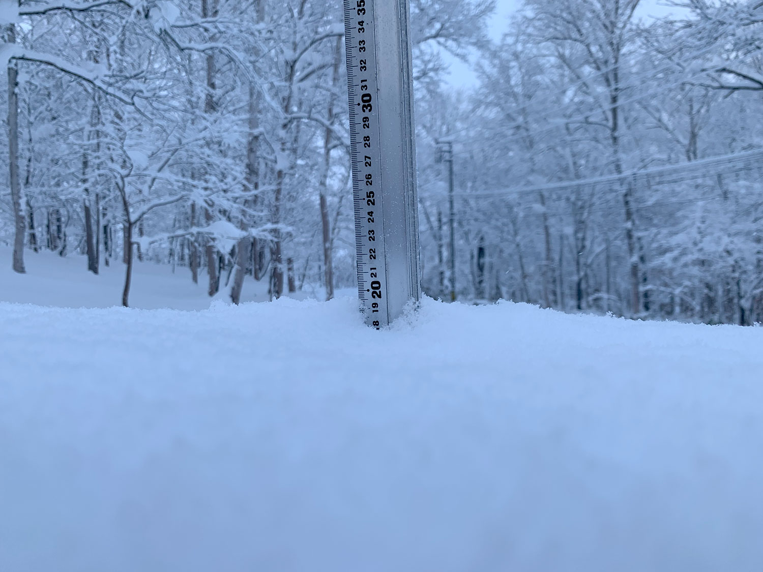 Snow Reports - 360 Niseko