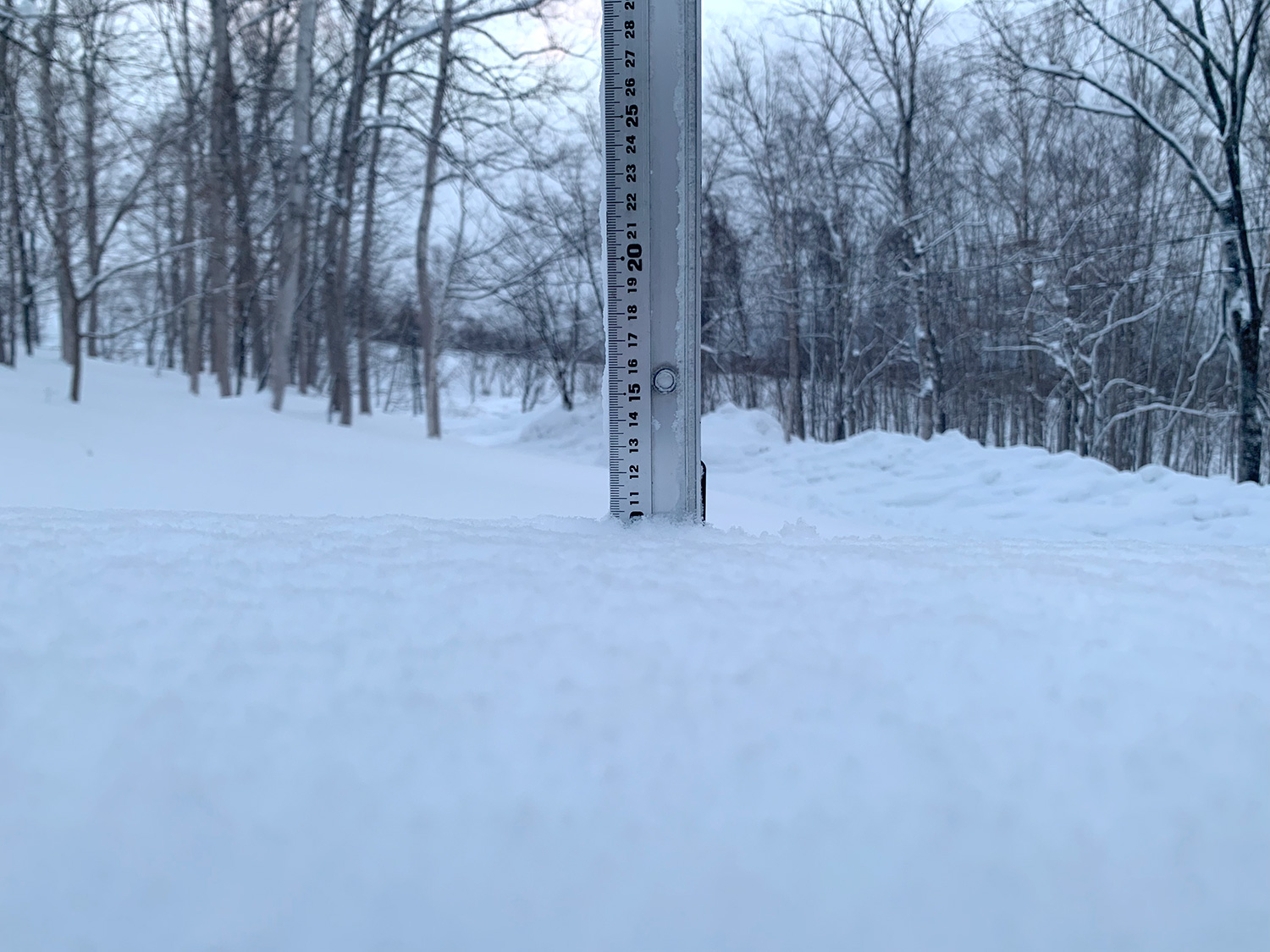 Niseko Snow Report, 21 January 2023 - 360 Niseko