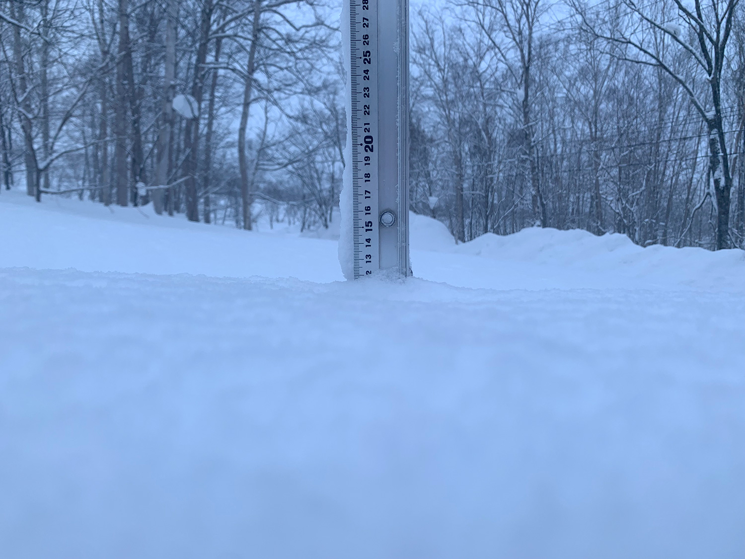 Niseko Snow Report 20 February 2023 - 360 Niseko