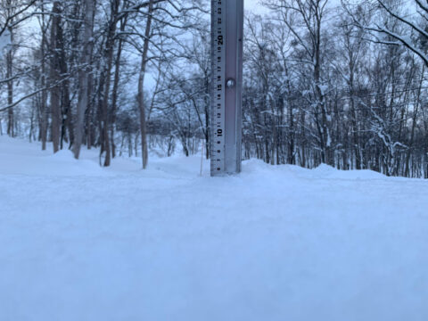 Niseko Snow Report, 10 Jan 2025 | 360 Niseko