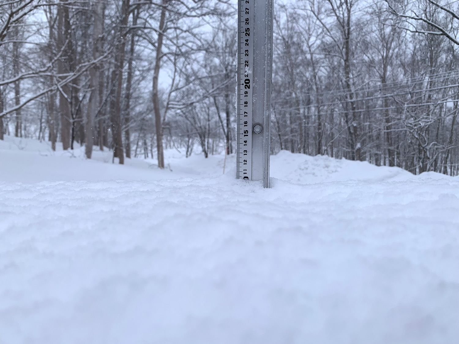 Snow Reports | 360 Niseko
