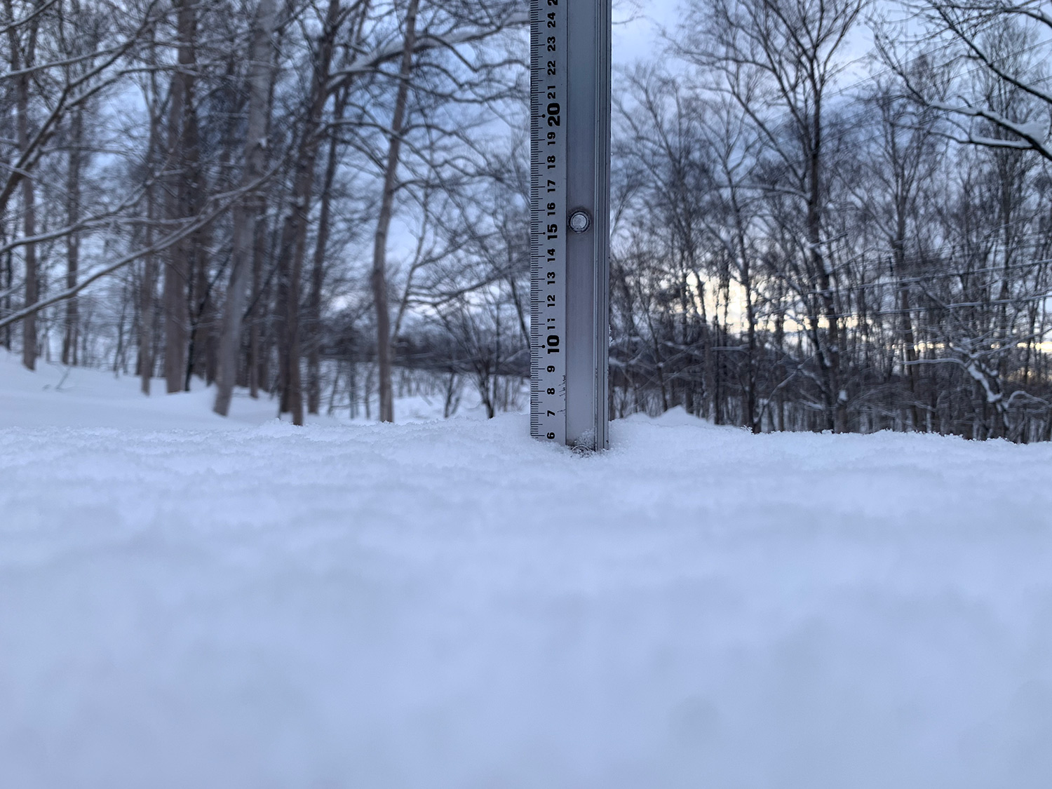 Snow Reports | 360 Niseko