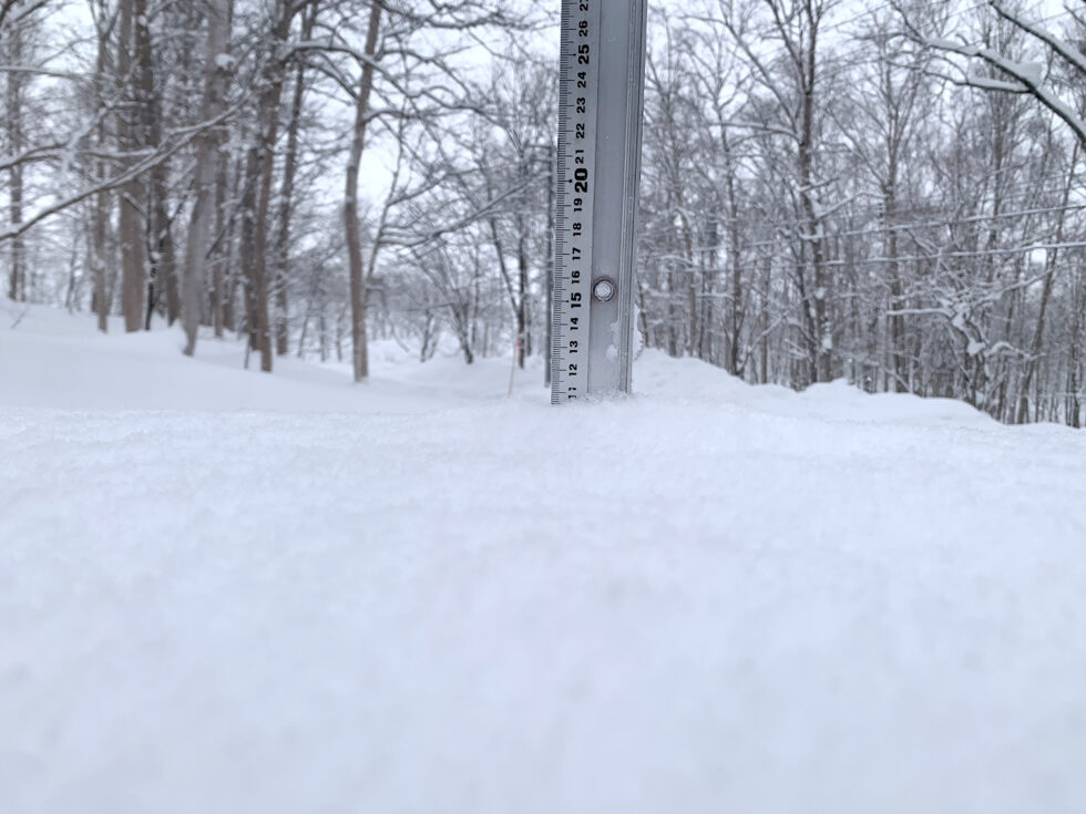 Niseko Snow Report, 12 February 2025 | 360 Niseko