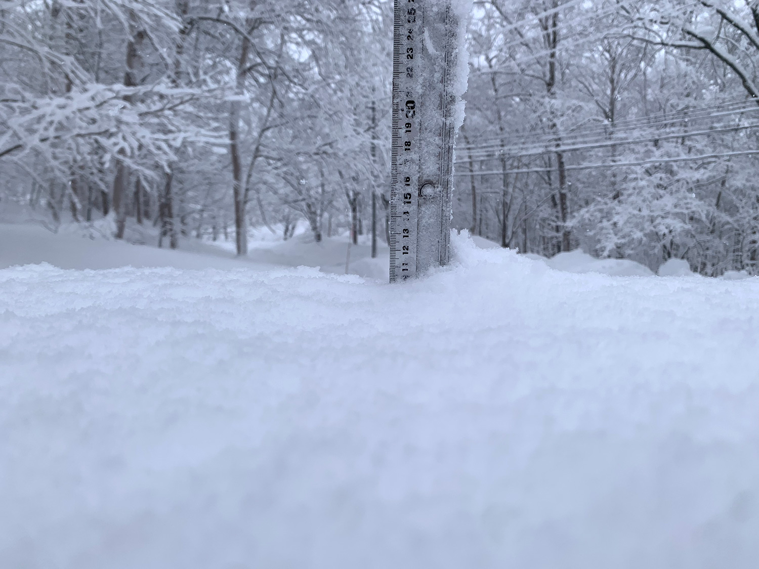Snow Reports | 360 Niseko