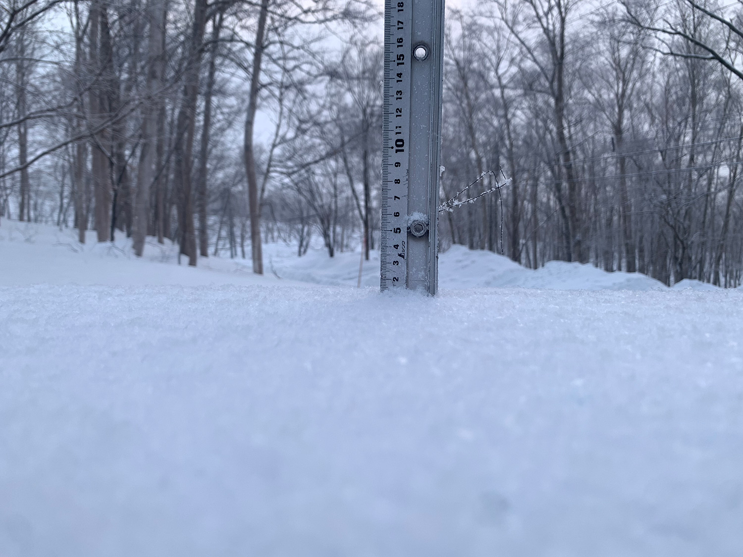 Snow Reports | 360 Niseko