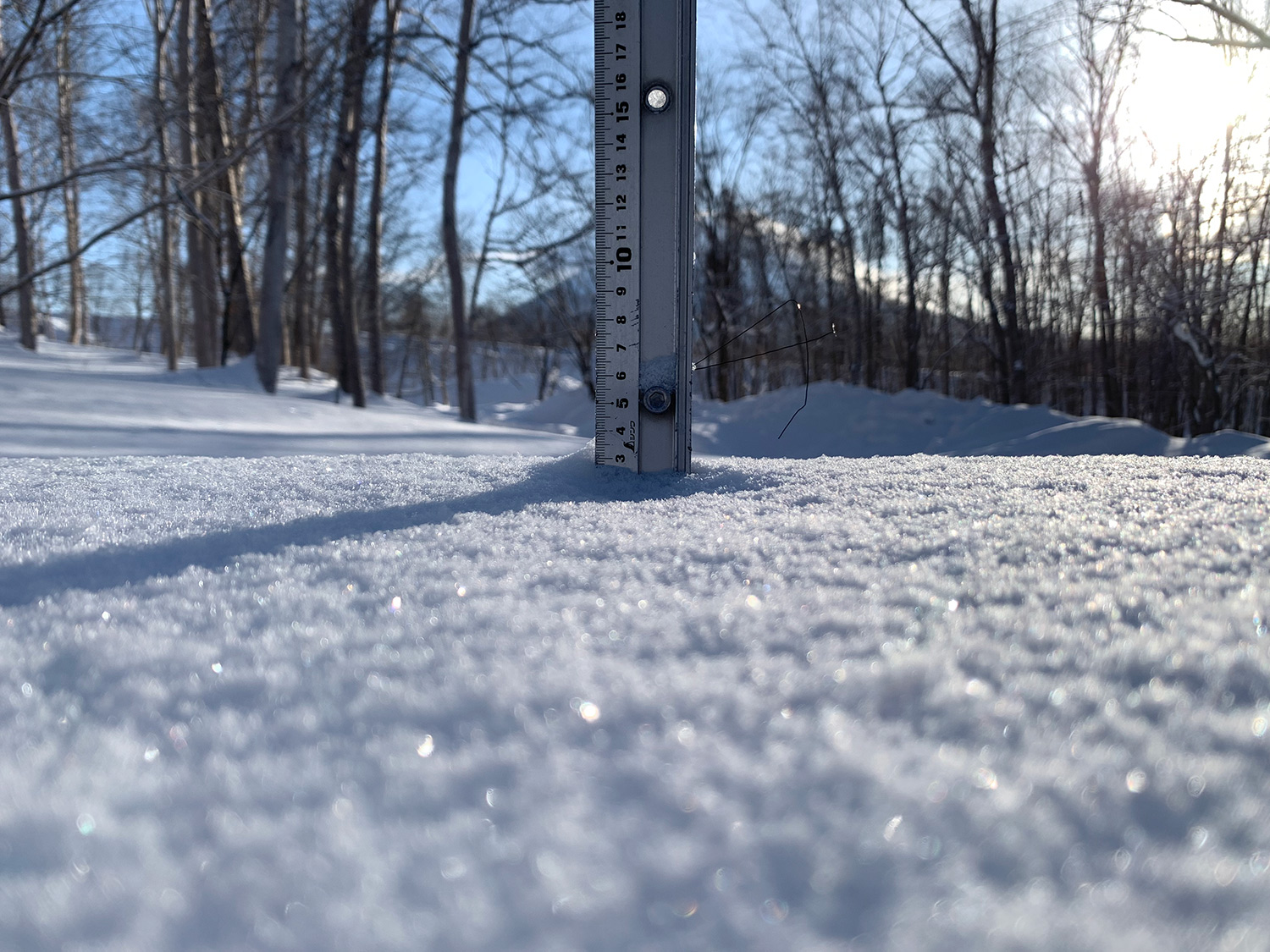 Snow Reports | 360 Niseko