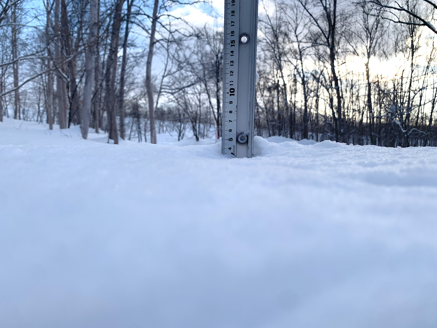 Snow Reports | 360 Niseko