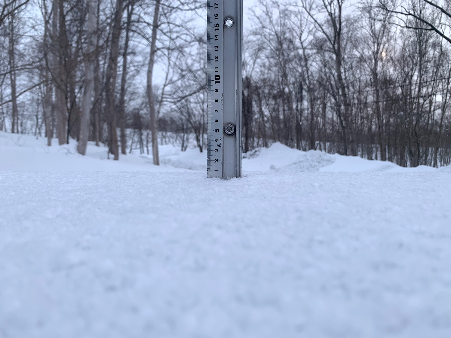 Snow Reports | 360 Niseko