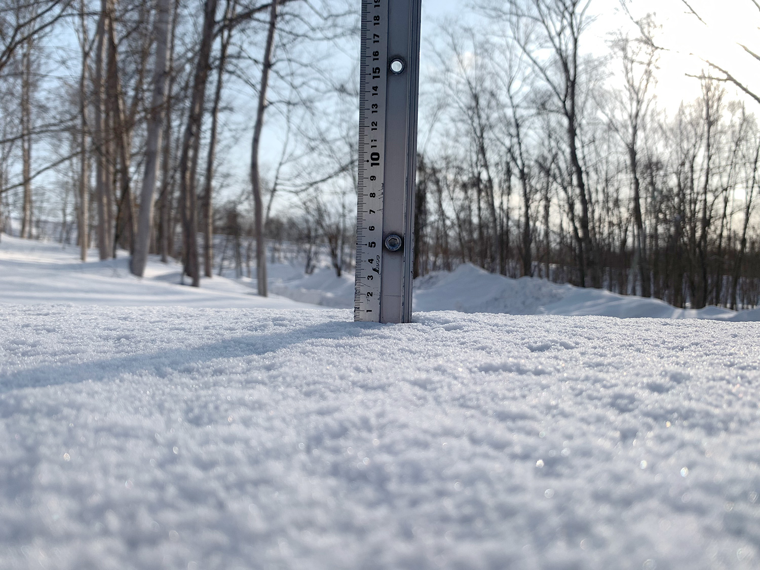 Snow Reports | 360 Niseko