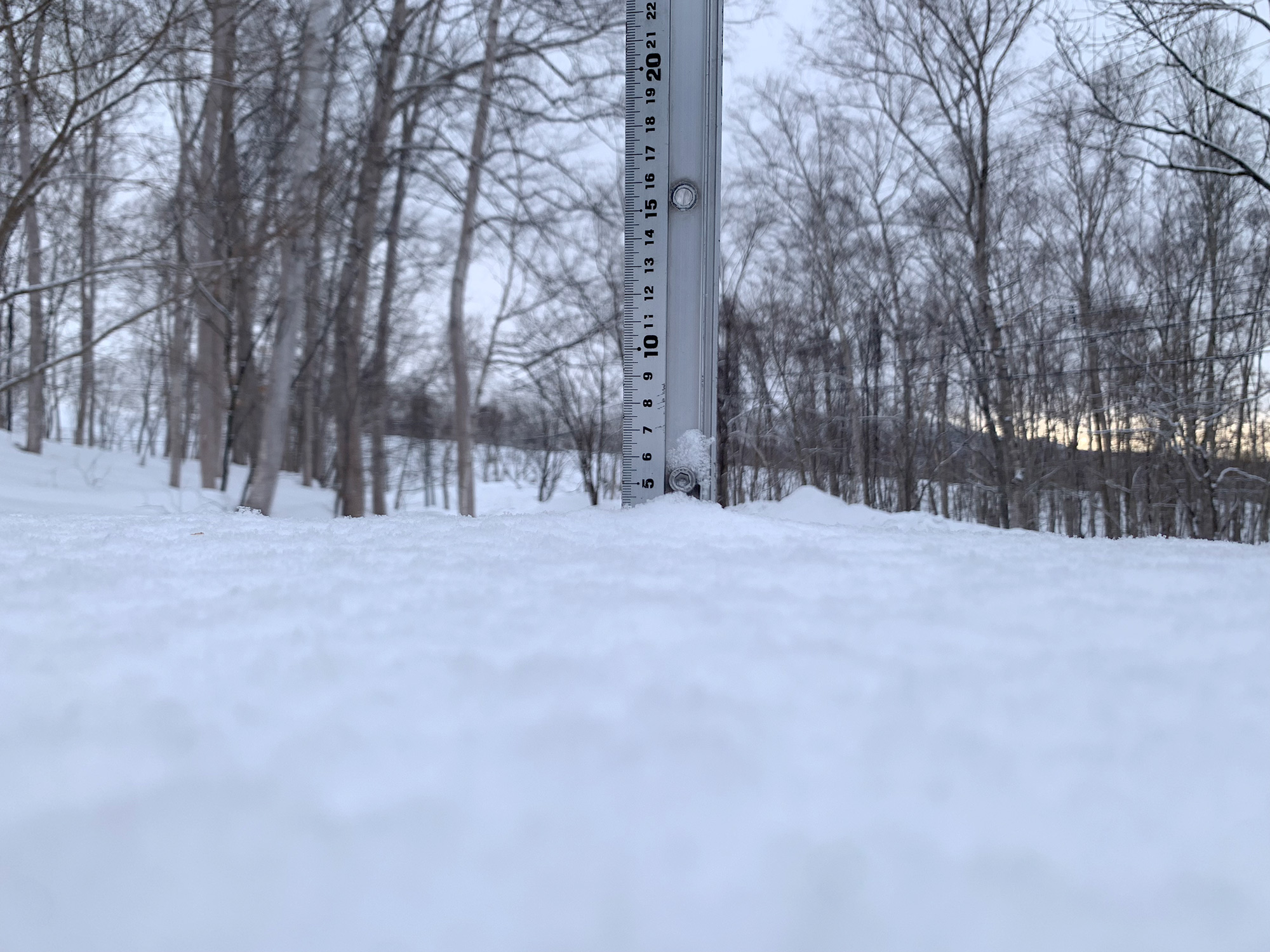 Niseko Snow Report, 22 January 2025 | 360 Niseko