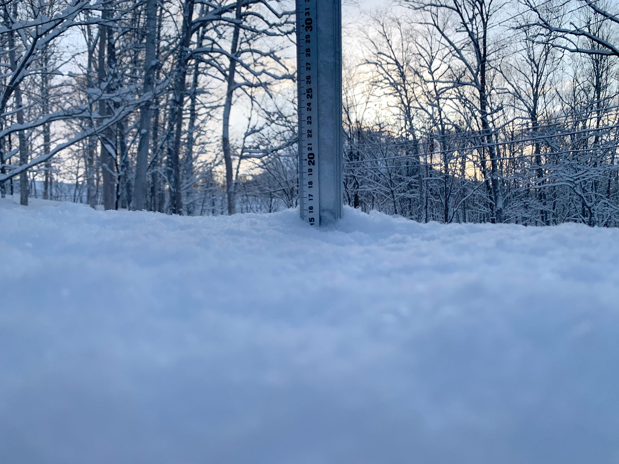 Snow Reports | 360 Niseko