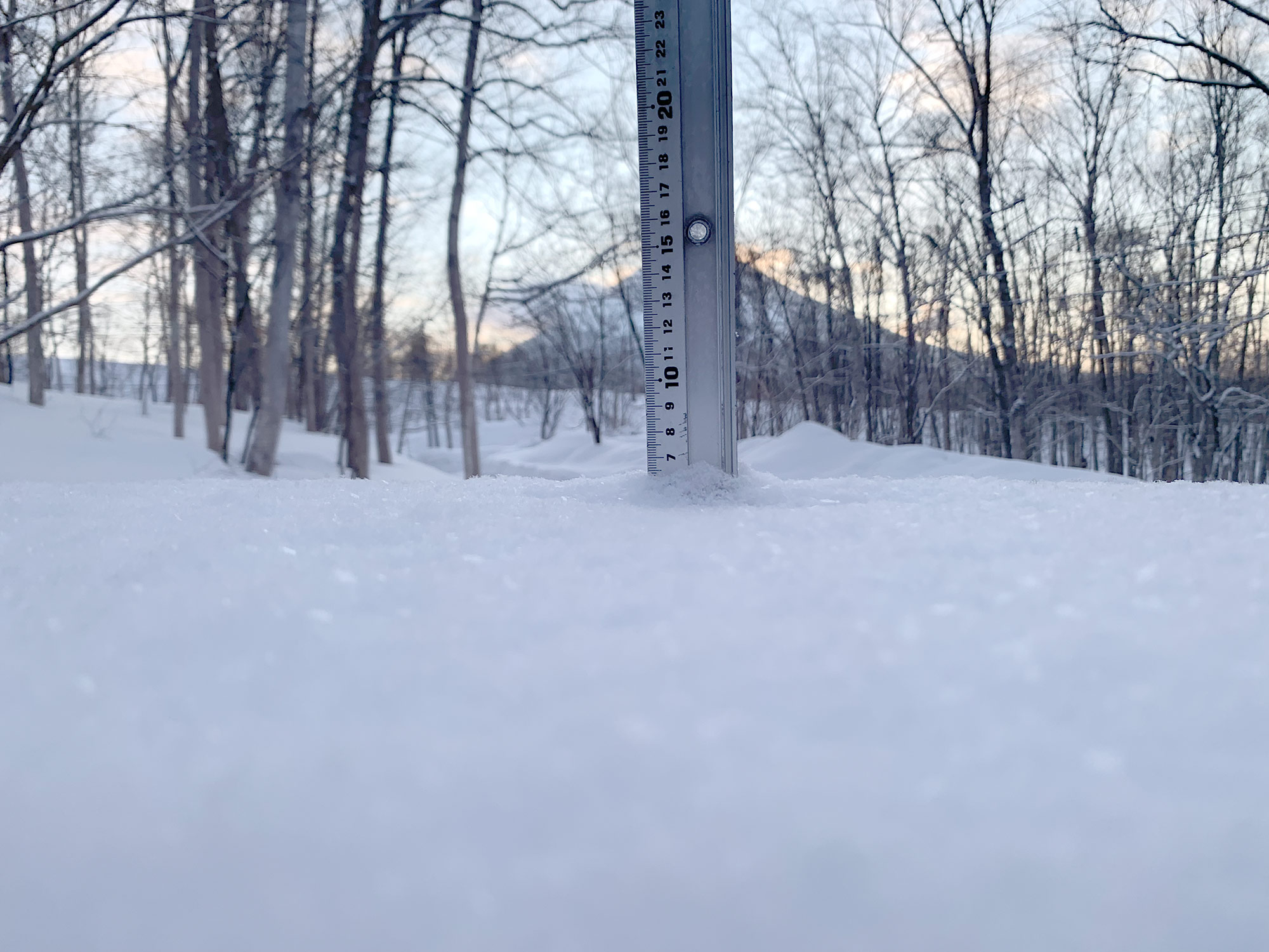 Snow Reports | 360 Niseko