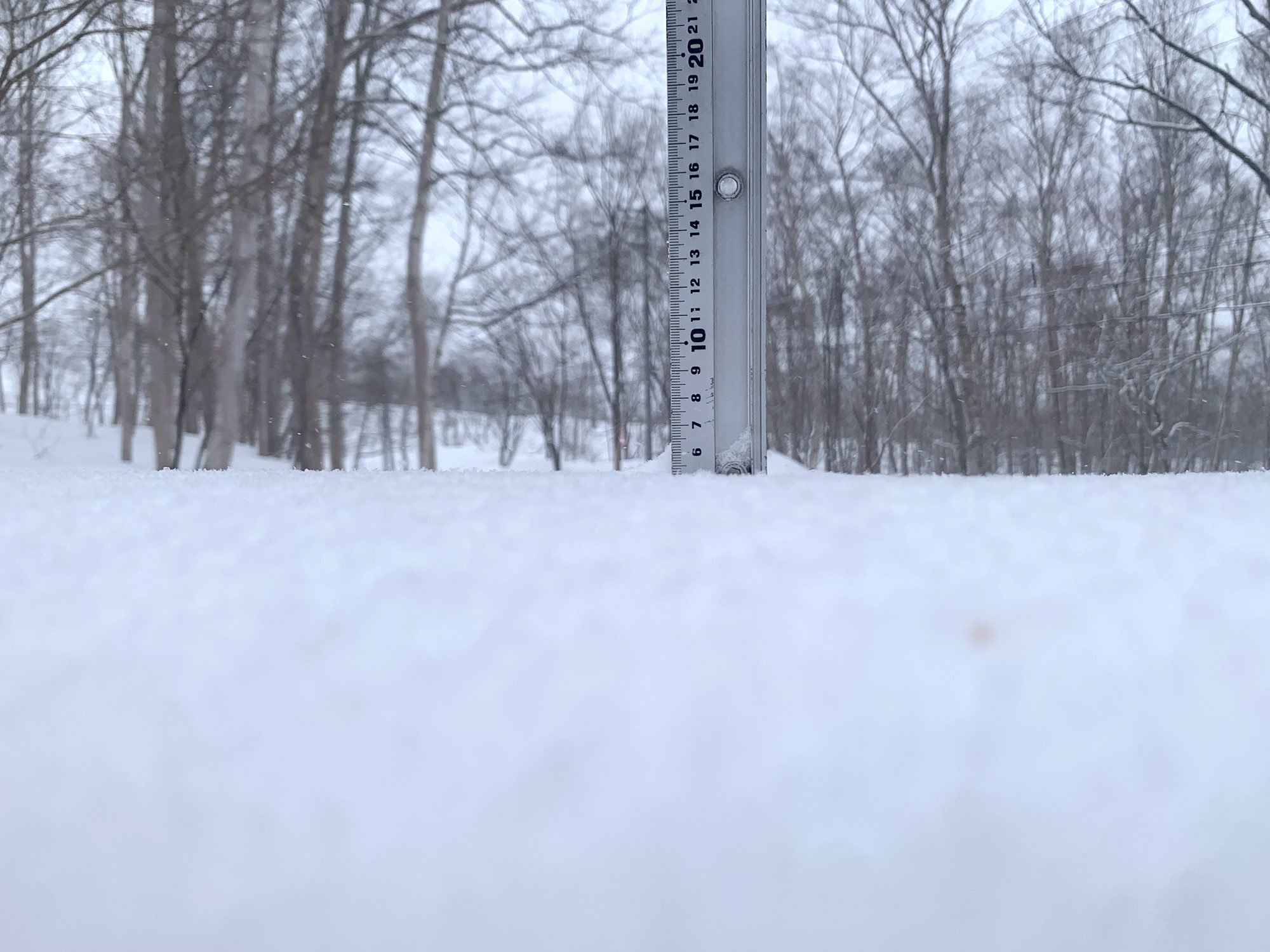 360 Niseko | Niseko Snow Reports & Local News