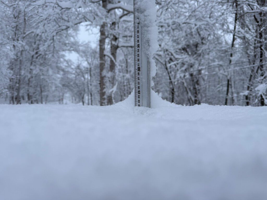 Niseko Snow Report, 8 January 2026 | 360 Niseko